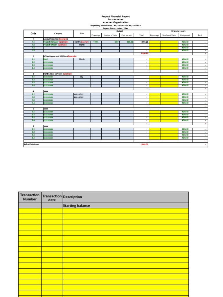 Financial Reporting - Template | PDF