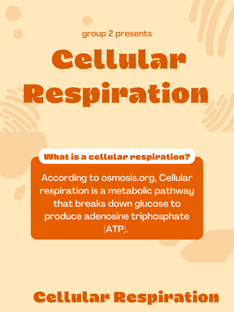 Cellular Respiration Basics | PDF | Wellness | Science & Mathematics