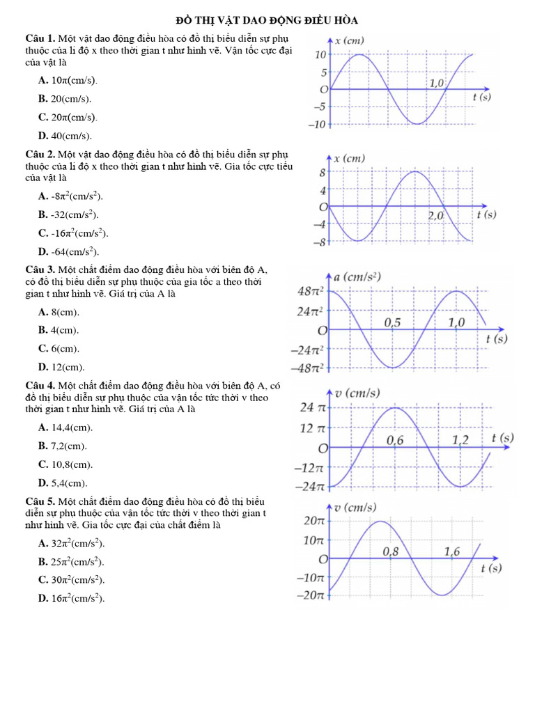Do Thi Vat DDDH | PDF