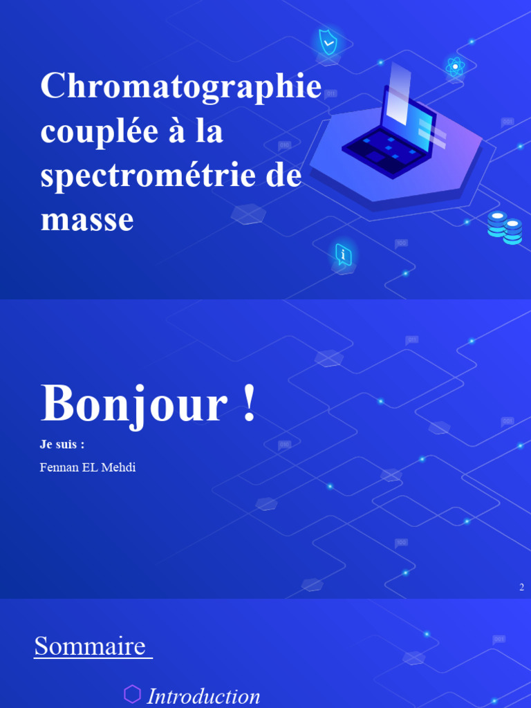 Chromatographie et Spectrométrie de Masse | PDF | Maison et jardin