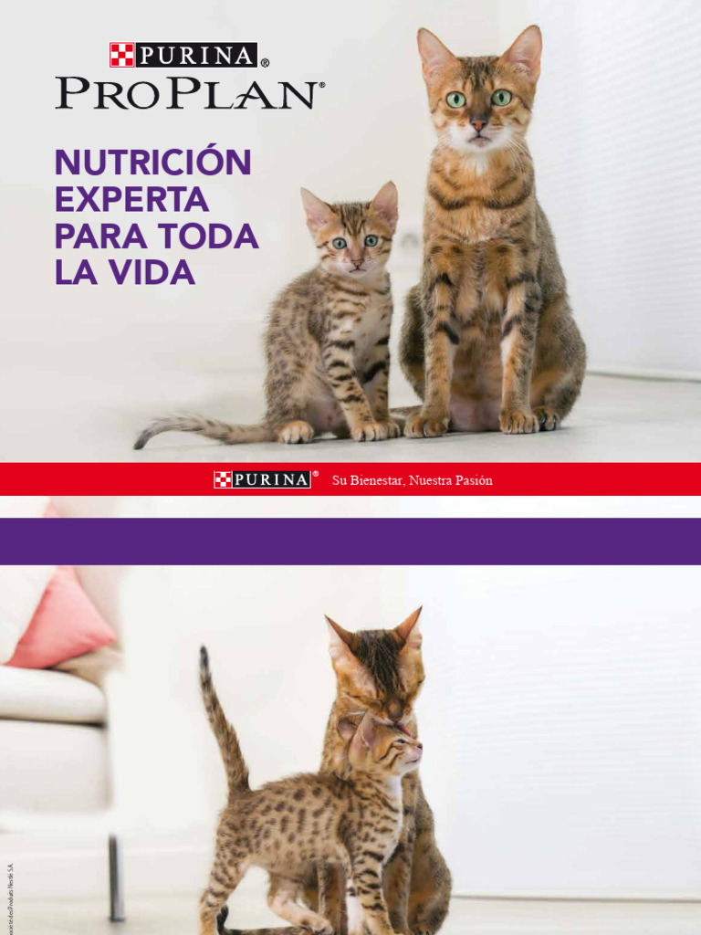04 Catalogo Pro Plan Gato Mantenimiento | PDF