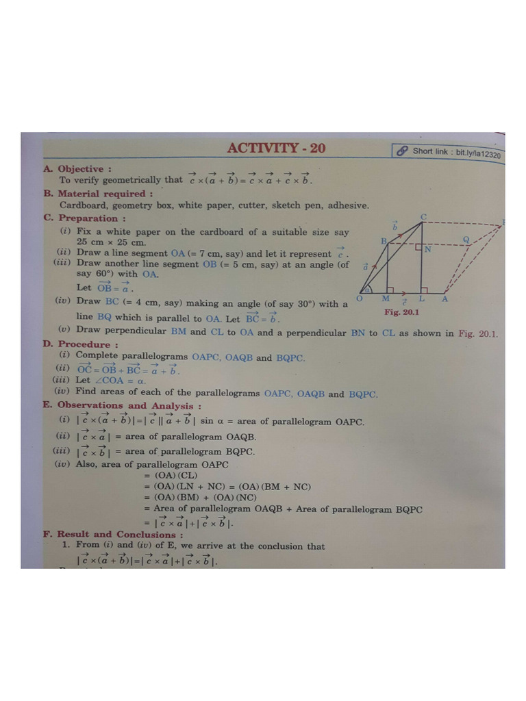 Class12 Activities Term 2 | PDF