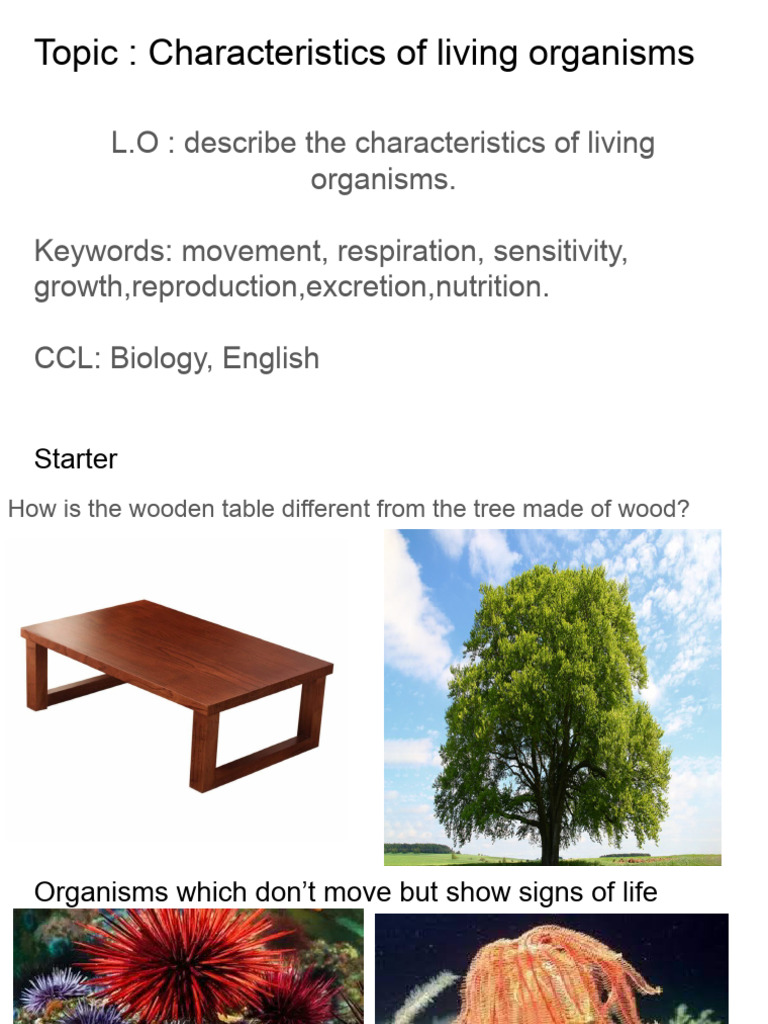 Characteristics of Living Organisms - Objective 1 | PDF