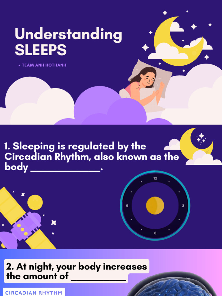Understanding Sleeps | PDF