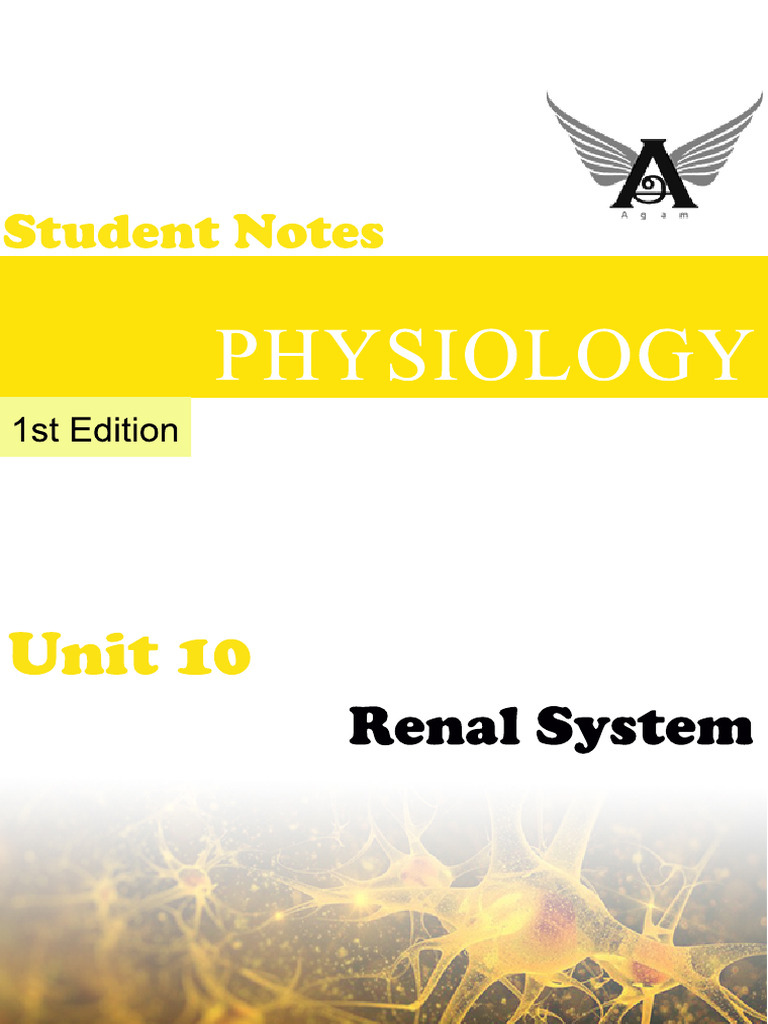 Renal Physio D&R Agam | PDF | Kidney | Capillary