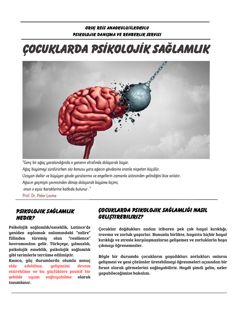 Psikolojik Sağlamlık Veli Bilgilendirme | PDF