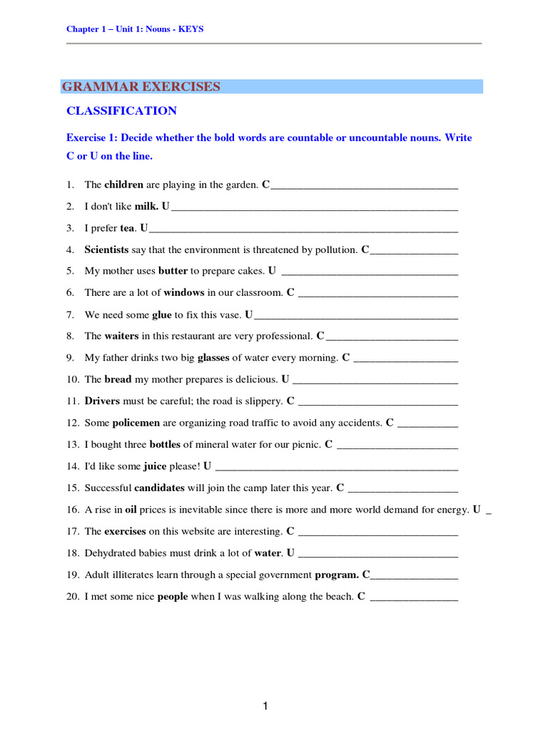 Noun Exercises and Grammar Keys | PDF