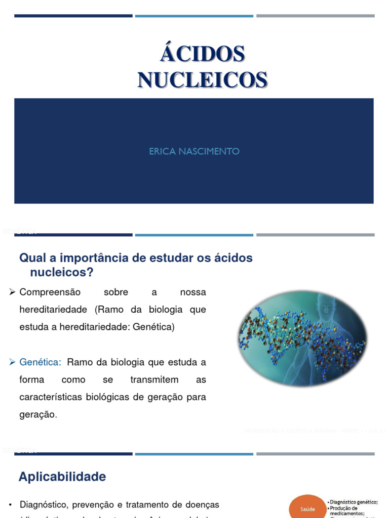Aula Ácidos Nucléicos | PDF | Gene | DNA