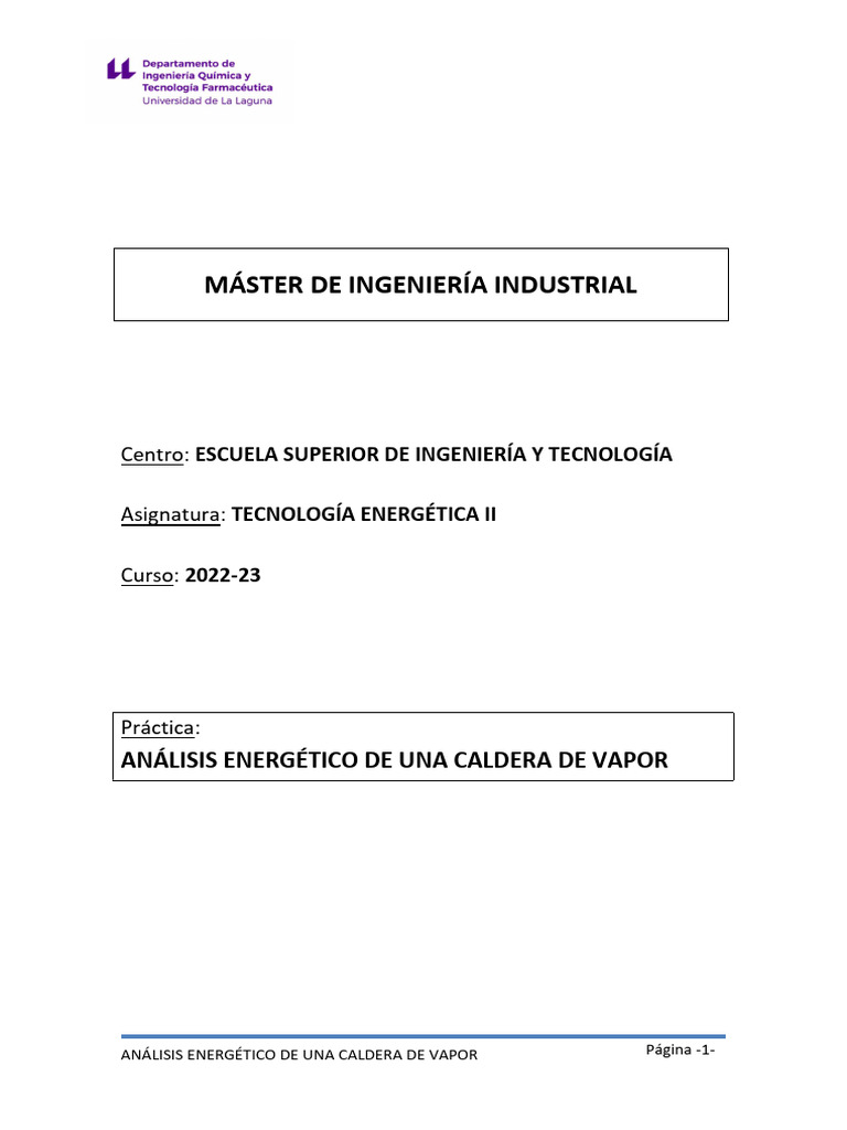 Caldera de Vapor 22 23 | PDF | Combustibles | Combustión