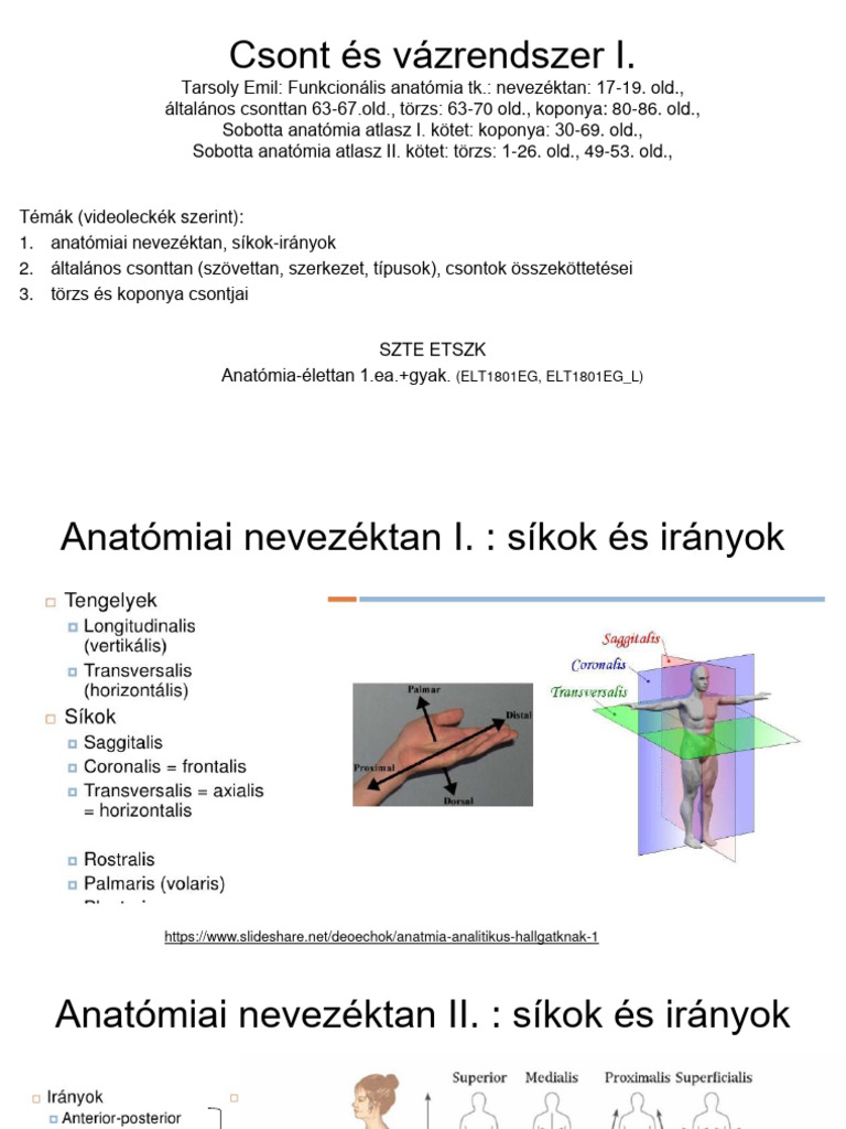1.Csont-Ã©s Vã¡zrendszer I. NevezÃ©ktan - TÃ Rzs Ã©s Koponya | PDF