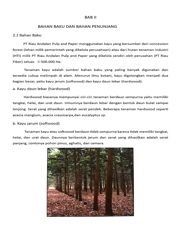 Bahan Baku & Penunjang Pulp RAPP | PDF