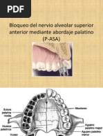 Anatomía de la Región Geniana | PDF | Cabeza y cuello humanos ...