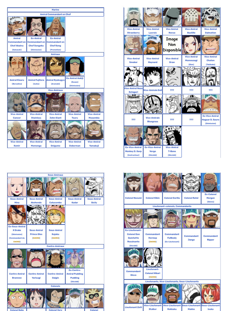 Marine One Piece Encyclopédie Fandom | PDF