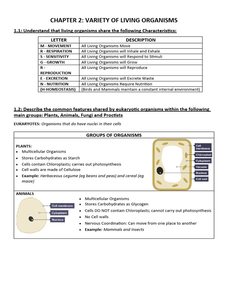 Chapter 2 Notes Igcse Edexcel Biology | PDF | Cell (Biology) | Organisms