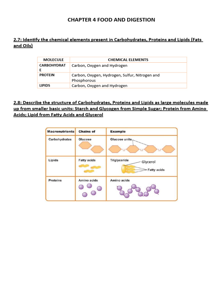 Chapter 4 Notes Igcse Edexcel Biology | PDF | Digestion | Bile Chapter 4 Notes Igcse Edexcel Biology | PDF | Digestion | Bile
