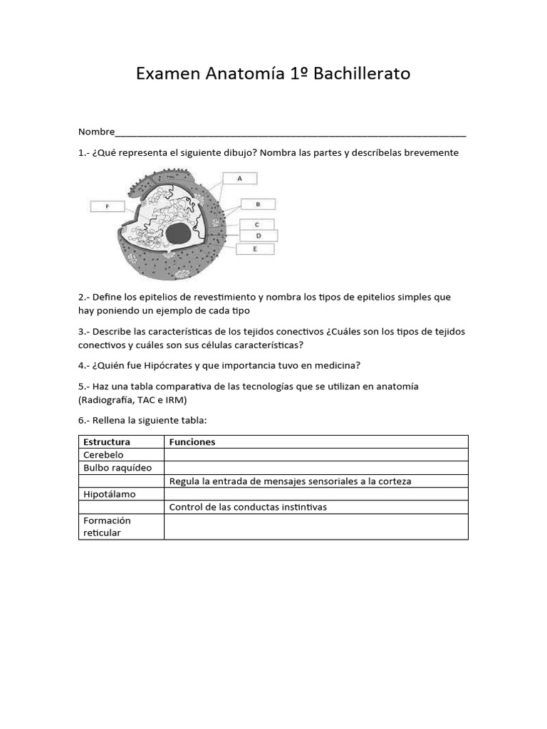 Examen Anatomía 1º Bachillerato 1ev - Ex1 1 | PDF | Ciencia y matemáticas