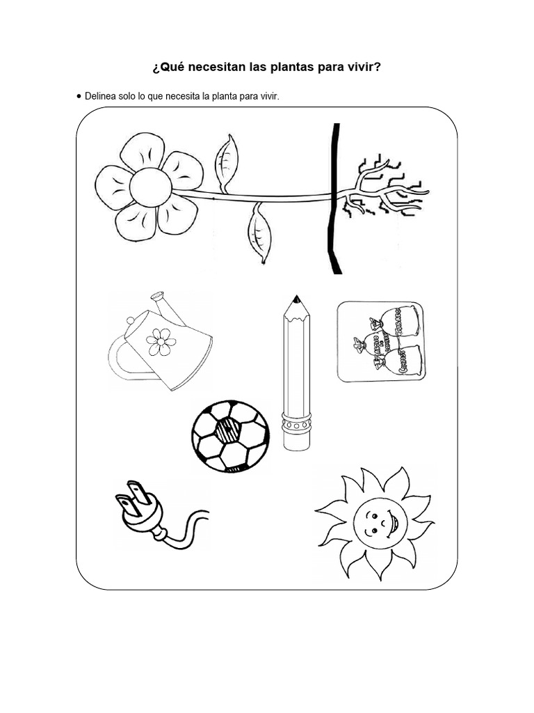 Qué Necesitan Las Plantas para Vivir | PDF