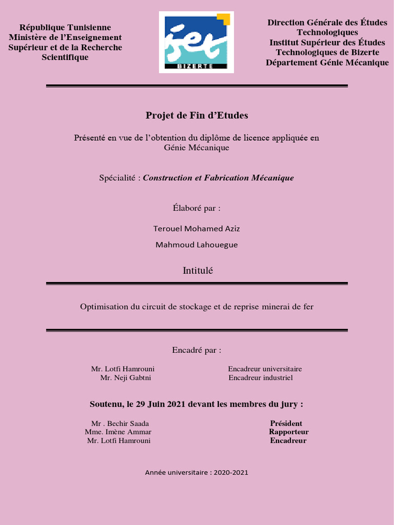 Rapport Pfe | PDF