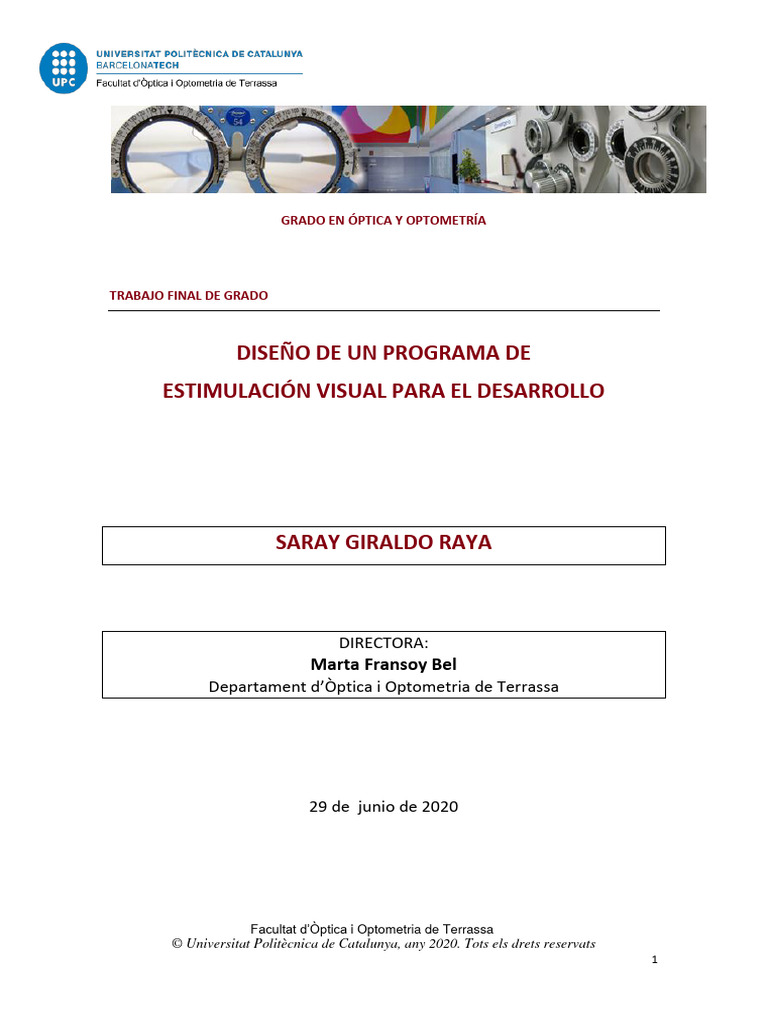 TFG DEFINITIVO-Saray Giraldo. DISEÑO DE UN PROGRAMA DE ESTIMULACIÓN VISUAL PARA EL DESARROLLO ...
