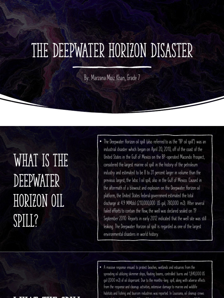 Gs THE DEEPWATER HORIZON DISASTER | Download Free PDF | Deepwater ...
