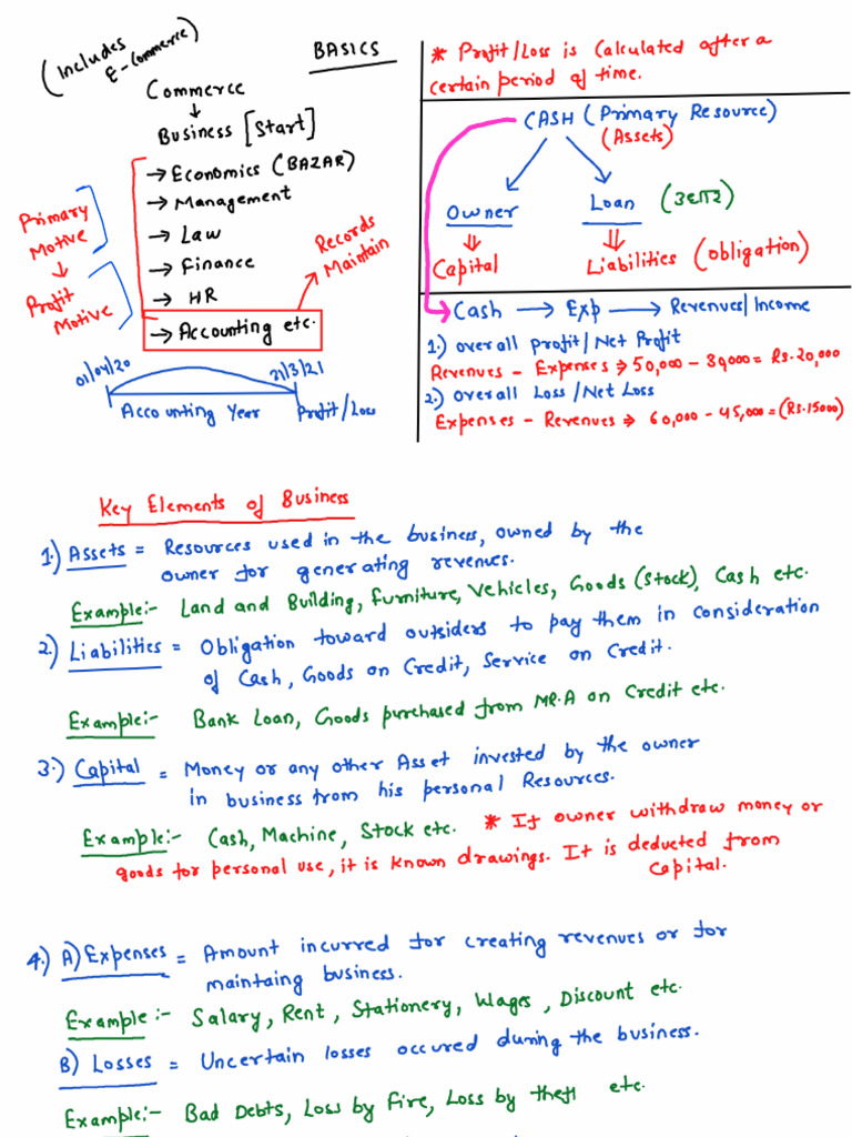 Basics and Accounting Equation | PDF