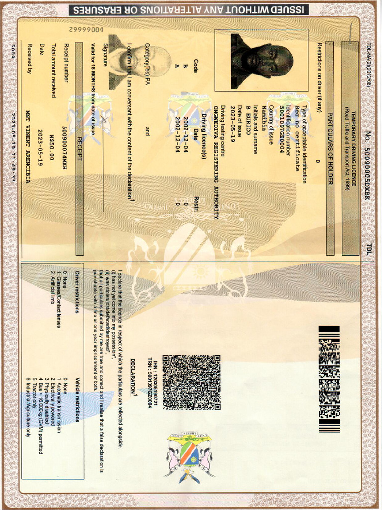 Drive License | PDF