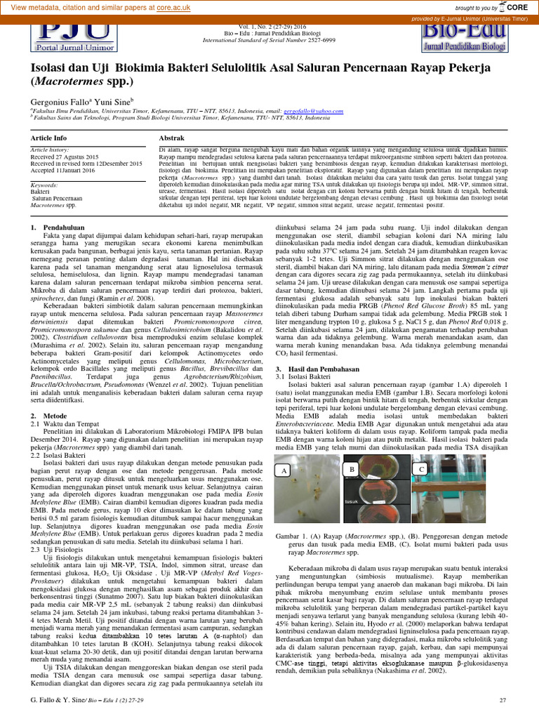 Isolasi Dan Uji Biokimia Bakteri Selulolitik Asal Saluran Pencernaan ...