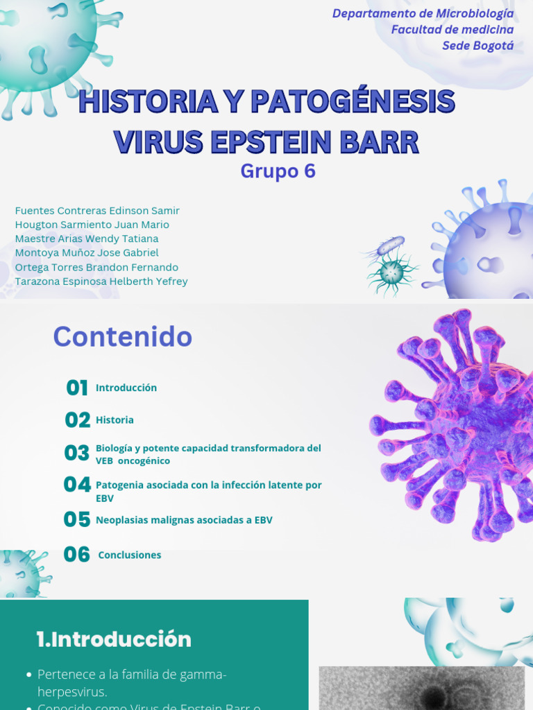 Historia Y Patogénesis Virus Epstein Barr | PDF | Virus | Sistema inmune