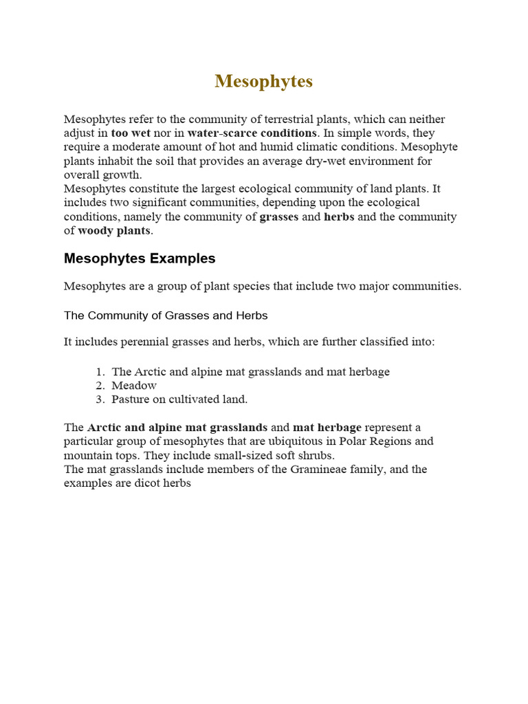 Mesophytes | PDF