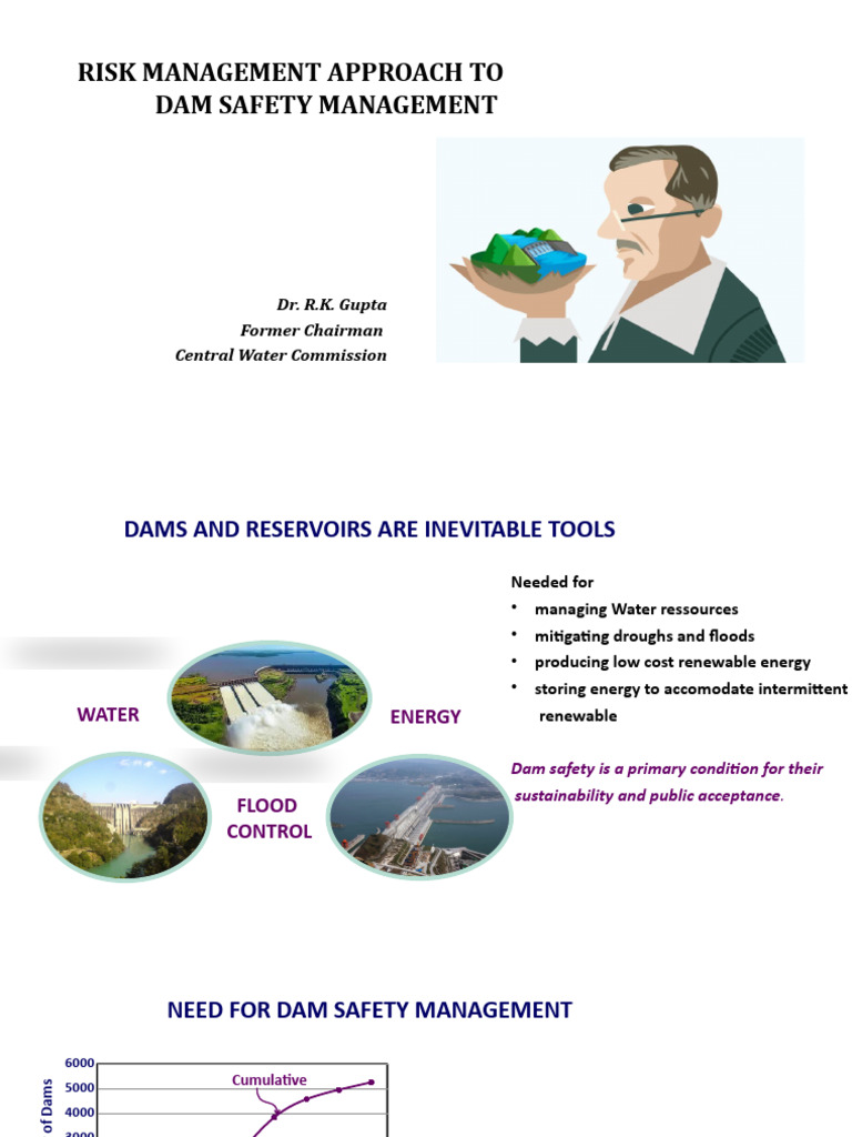 SIII - Risk Mnagement Approach-Nwa | PDF