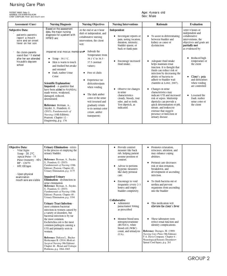 Final NCP GRP2 | PDF | Urinary Tract Infection | Medical Specialties