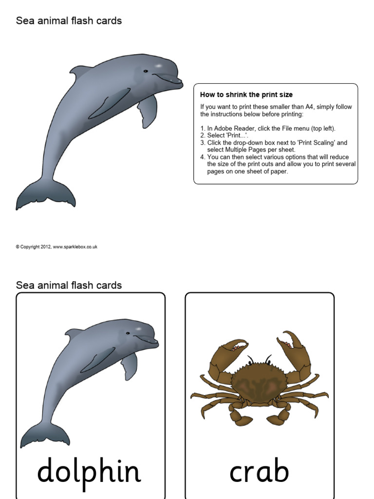 Jungle Animal Flash Cards | PDF | Home & Garden