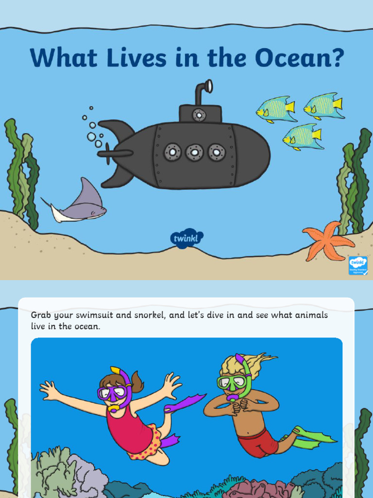 Ocean Animals: Coral Reefs to Whales | PDF | Sea Turtle | Whales