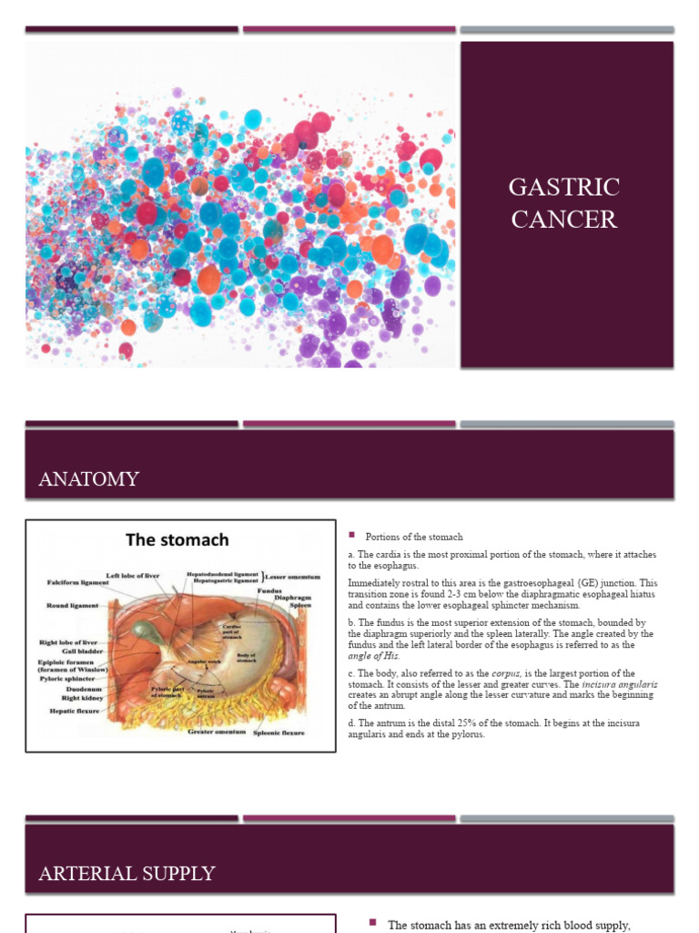 Gastric Cancer PowerPoint Presentation | PDF
