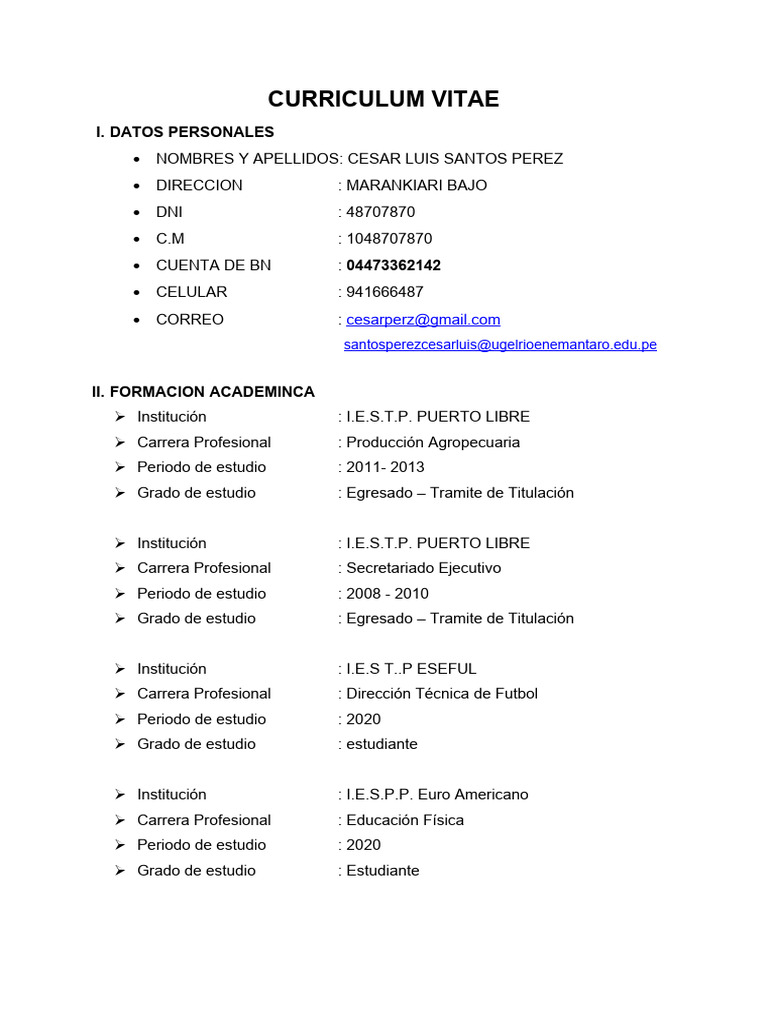 Curriculum Vitae Cesar 2021 | PDF | Negocios | Ciencias sociales