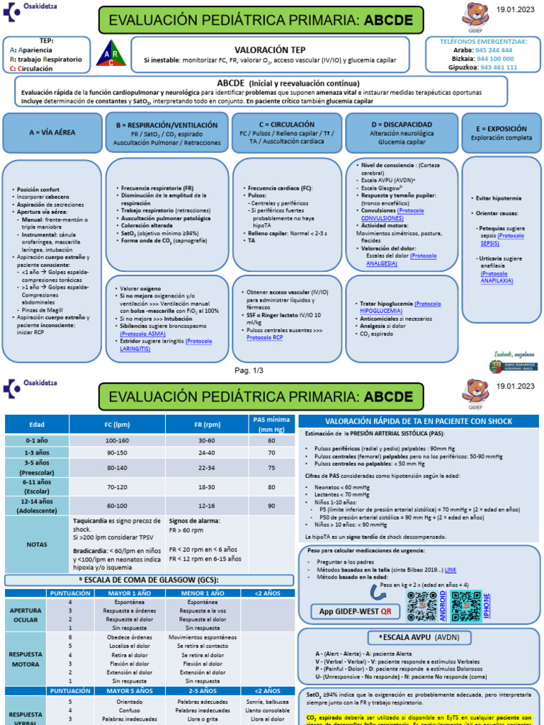 Gidep Abcde | PDF | Sistema respiratorio | Reanimación cardiopulmonar