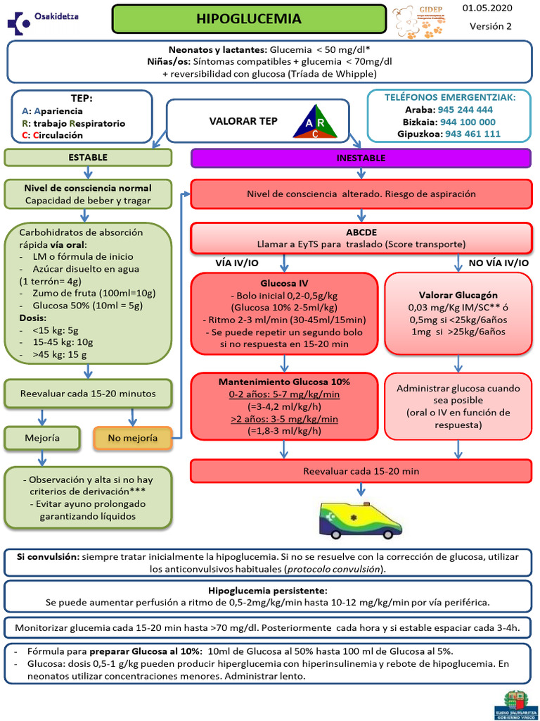 Protocolo de Manejo de Hipoglucemia | PDF | Hipoglucemia | Medicina