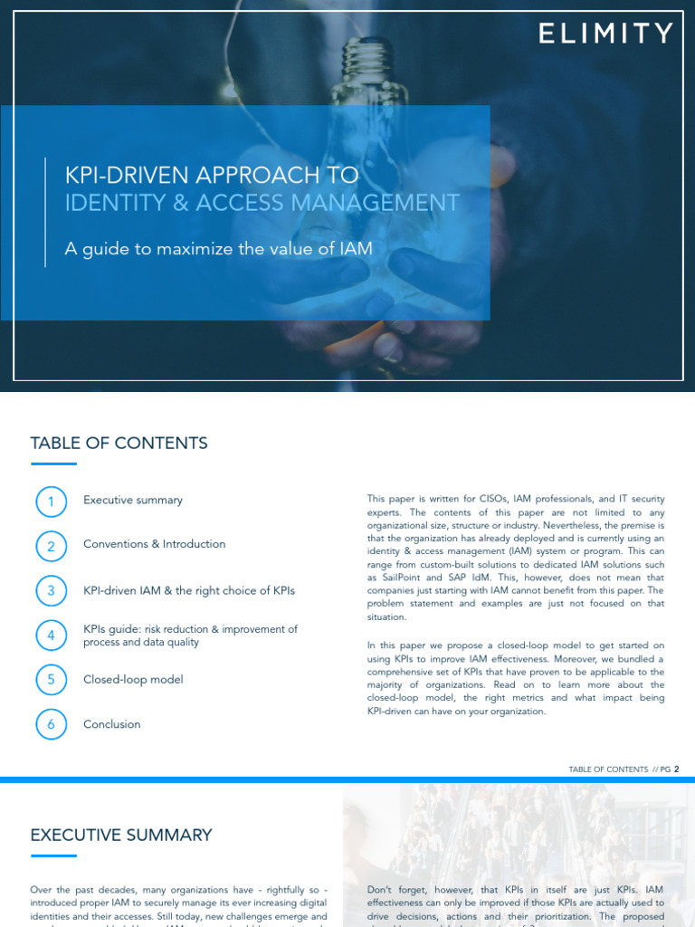 Elimity Guide - KPI-driven Approach To IAM | PDF | Performance ...