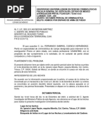 Signo de Puppe Werkgartner | PDF | Adultos jóvenes