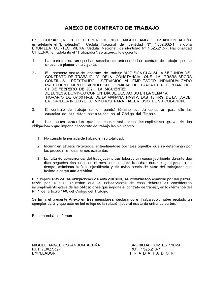 Anexo Contrato Brunilda Febrero 2021 | PDF | Tiempo de trabajo | Gobierno