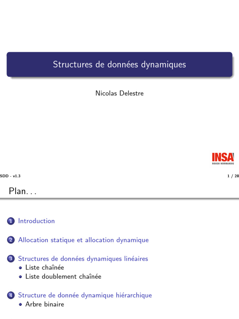 Structures de Donn Ees Dynamiques: Nicolas Delestre | PDF