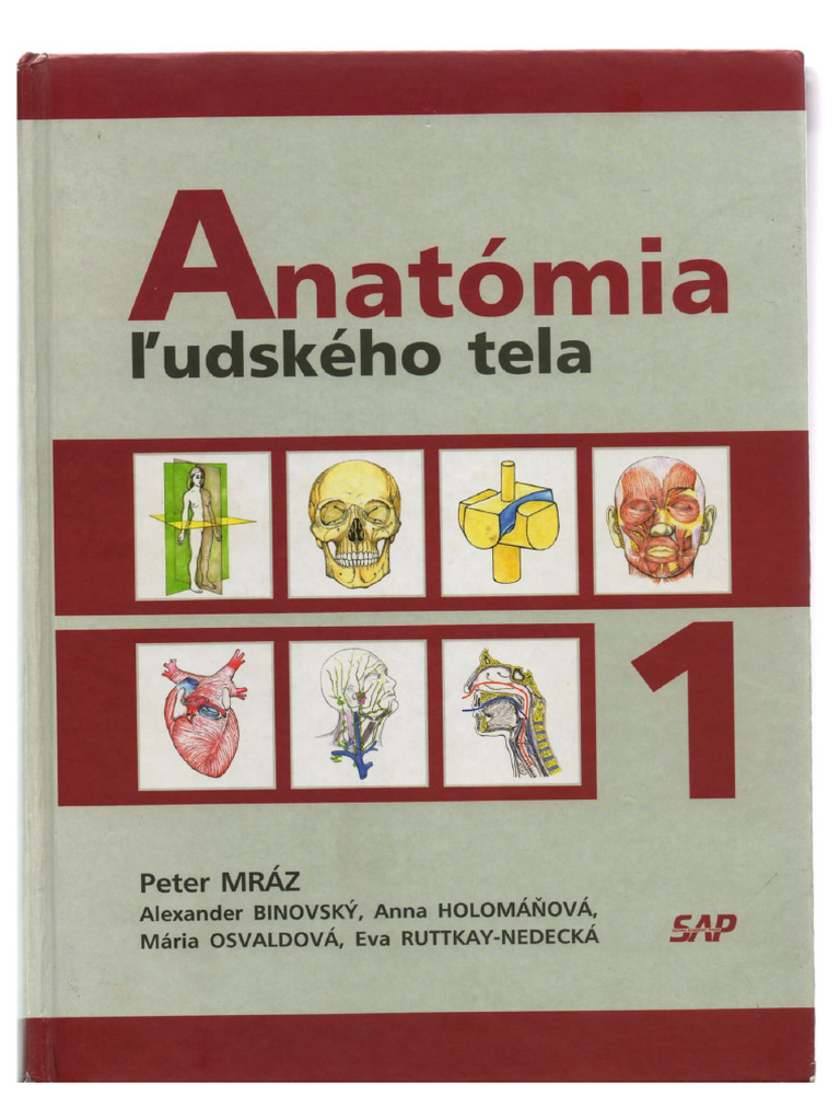 Anatómia 1 - Mráz | PDF