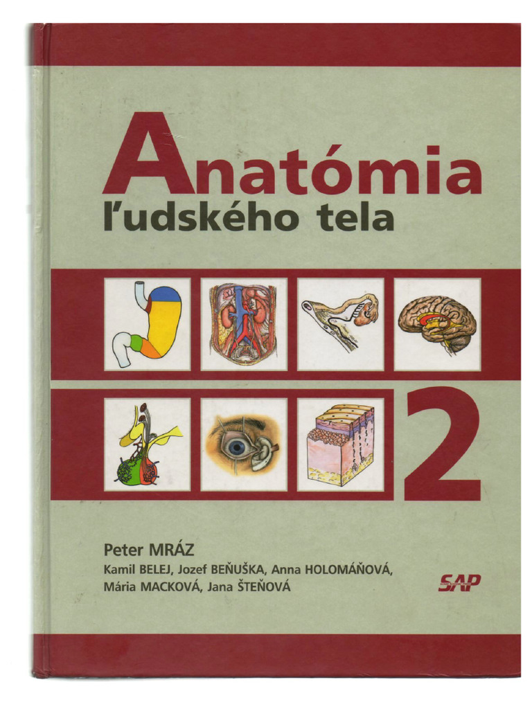 Anatómia 2 - Mráz | PDF
