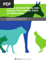 Purina Body Condition Score Diagram | PDF | Abdomen | Pelvis