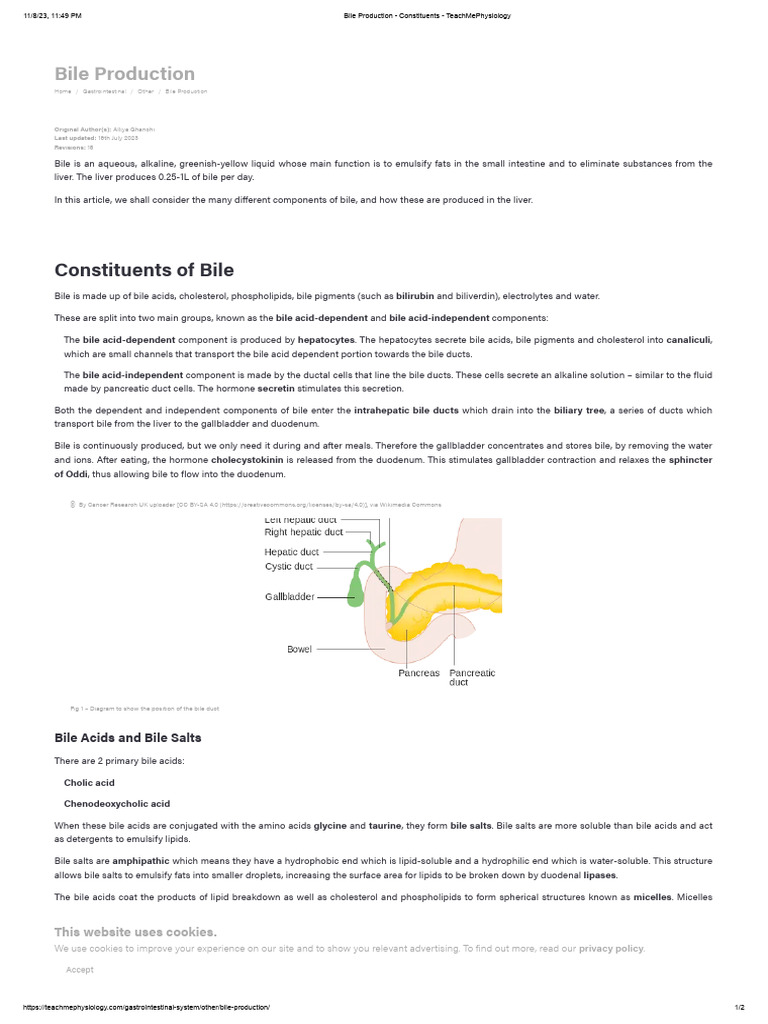 Bile Production and Its Constituents | PDF | Bile | Gallbladder