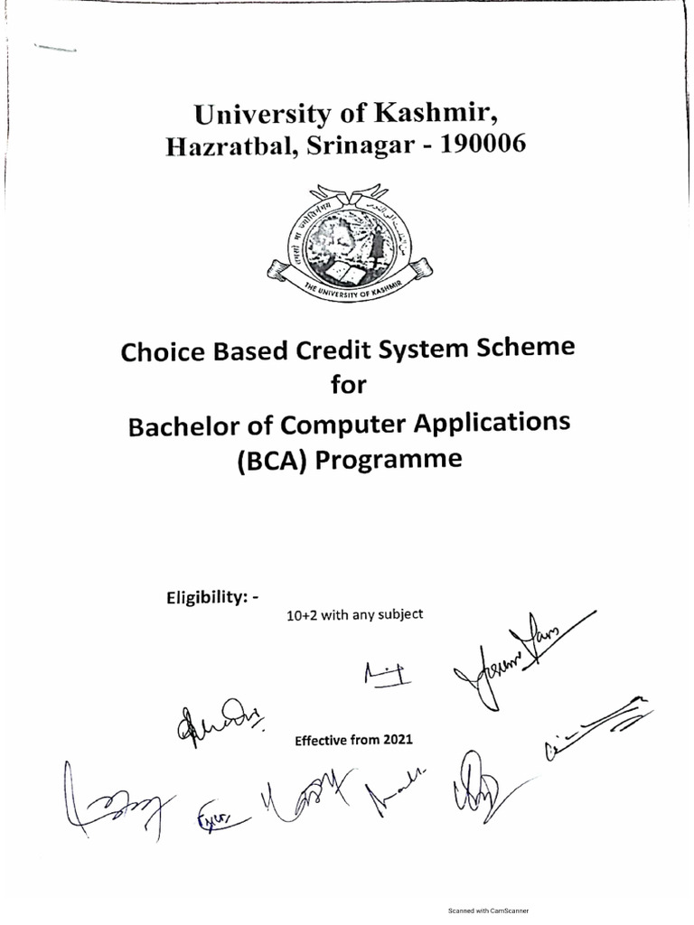 BCA Syllabus 2021 | PDF | Computer Network | Pointer (Computer Programming) BCA Syllabus 2021 | PDF | Computer Network | Pointer (Computer Programming)
