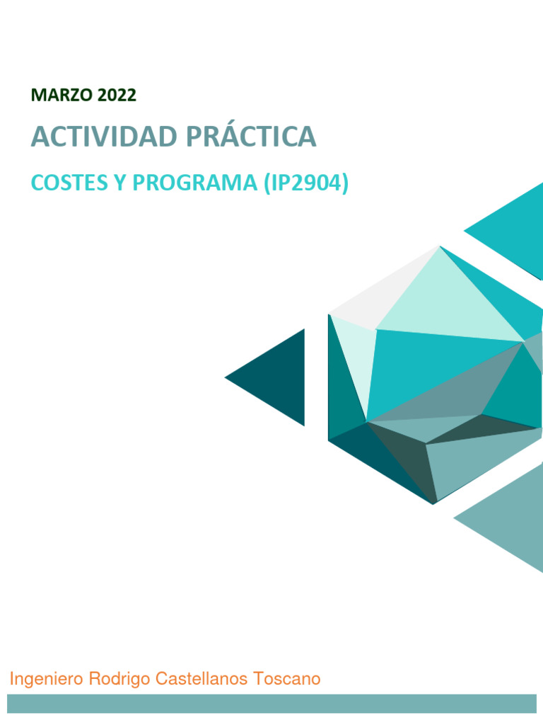 Actividad PR Ctica IP2904 Rodrigo Castellanos PDF | PDF | Fundación profunda | Hormigón