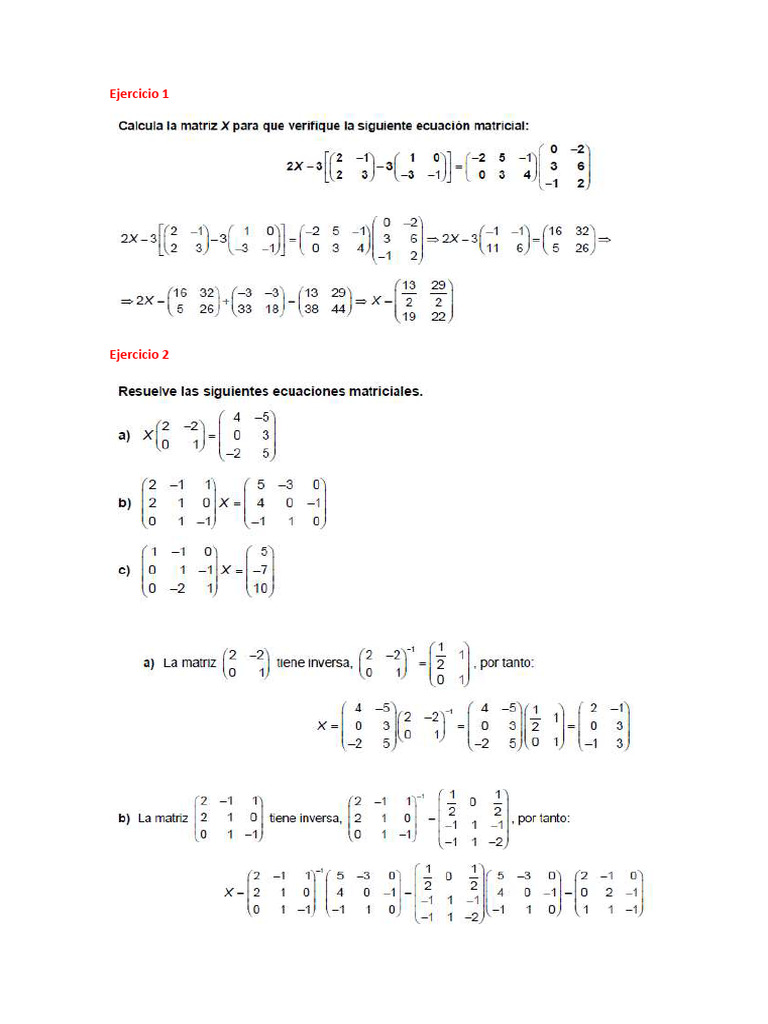 Ejercicios Resueltos de Matrices y Determinantes | PDF | Ciencia y ...