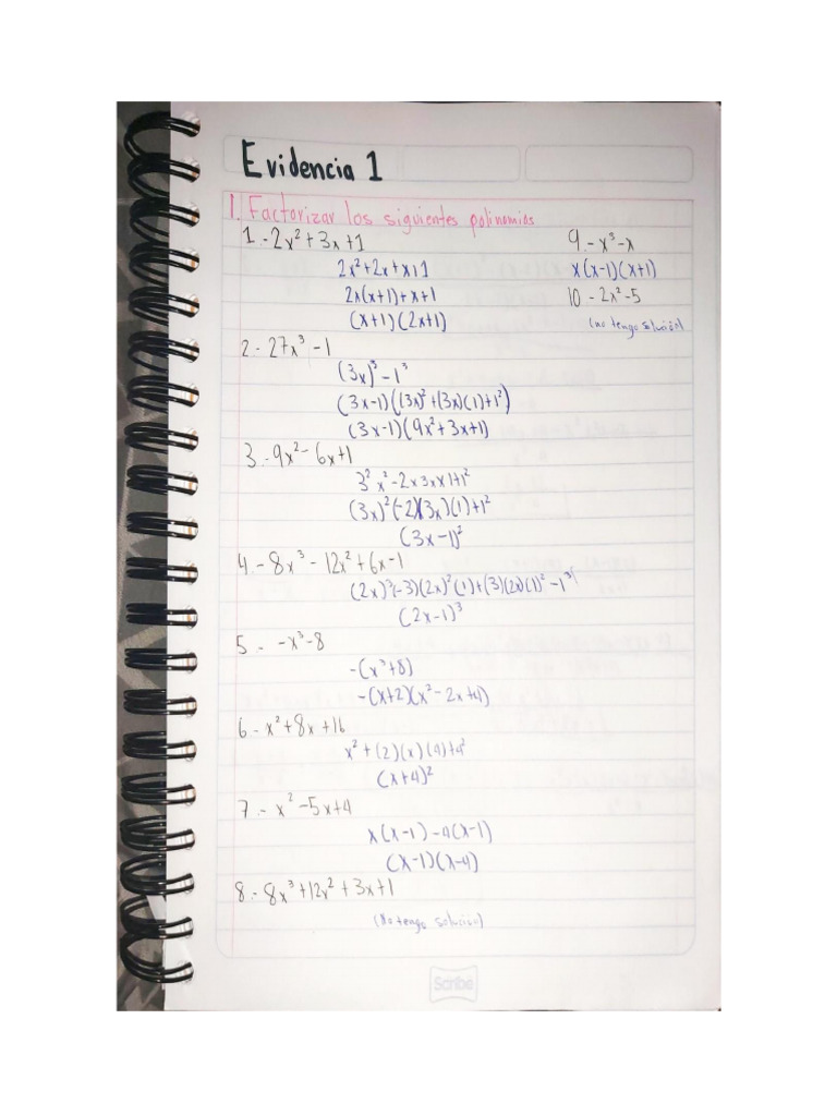 AMCG Evidencia1 Álgebra | PDF