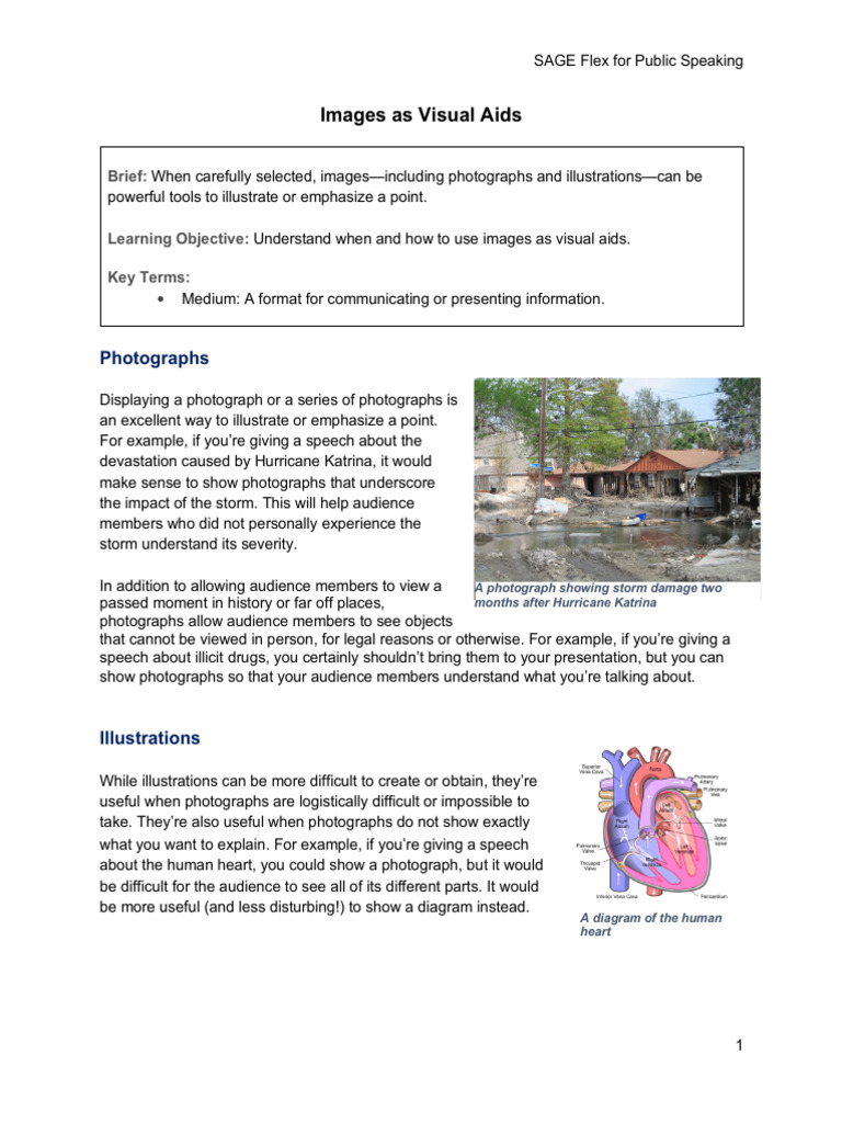 Presentation Section 02 Module02 | PDF